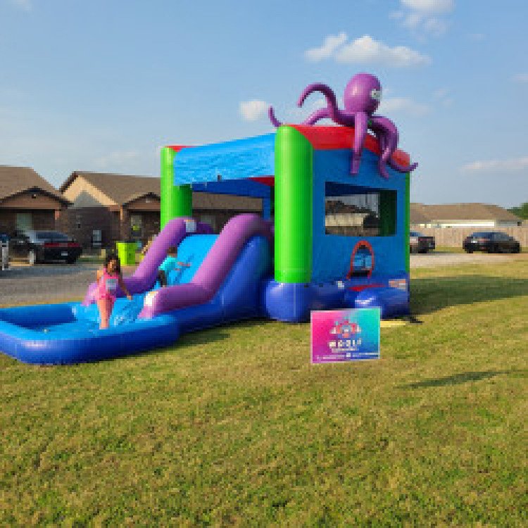 Slides & Combos - Woolf Inflatables Lonoke AR