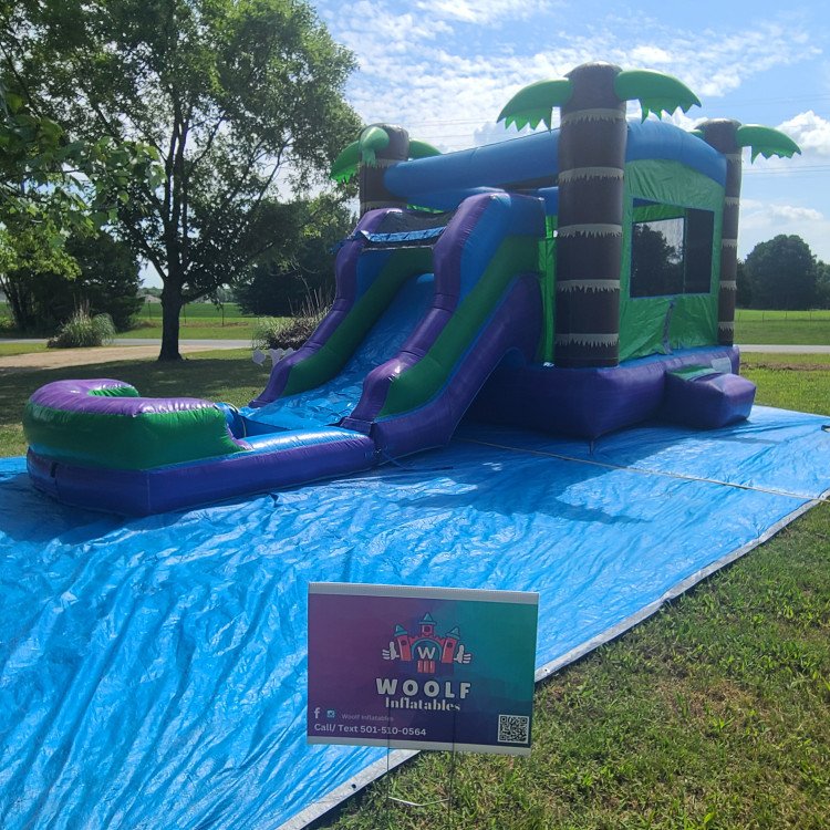 Slides - Woolf Inflatables Lonoke AR