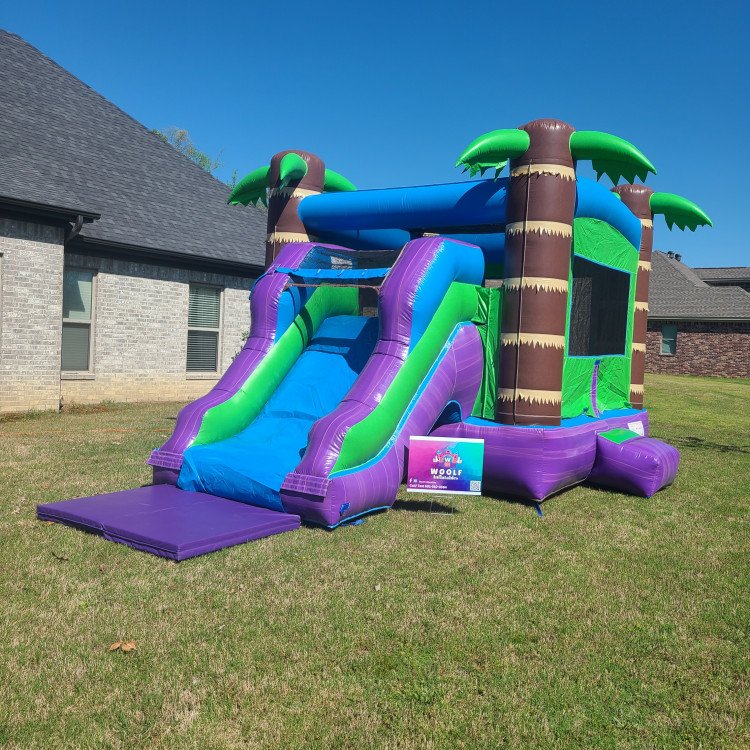 Slides & Combos - Woolf Inflatables Lonoke AR